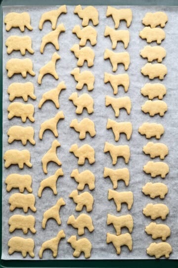 Homemade Mini Animal Cookies - Crowded Kitchen