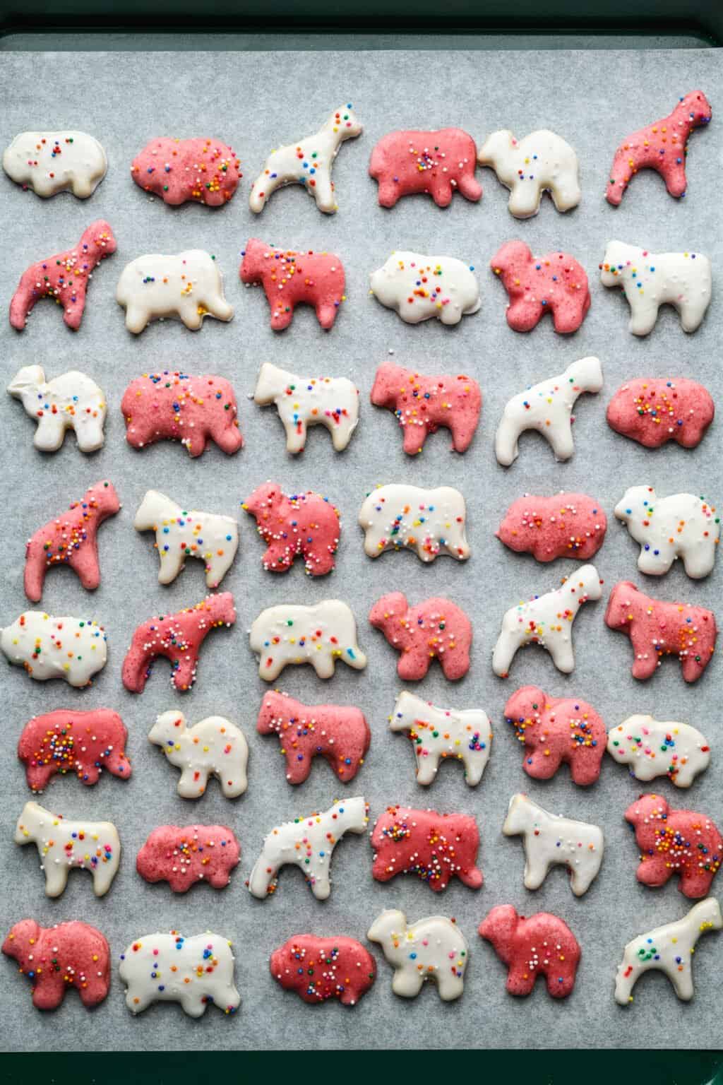 Homemade Mini Animal Cookies - Crowded Kitchen