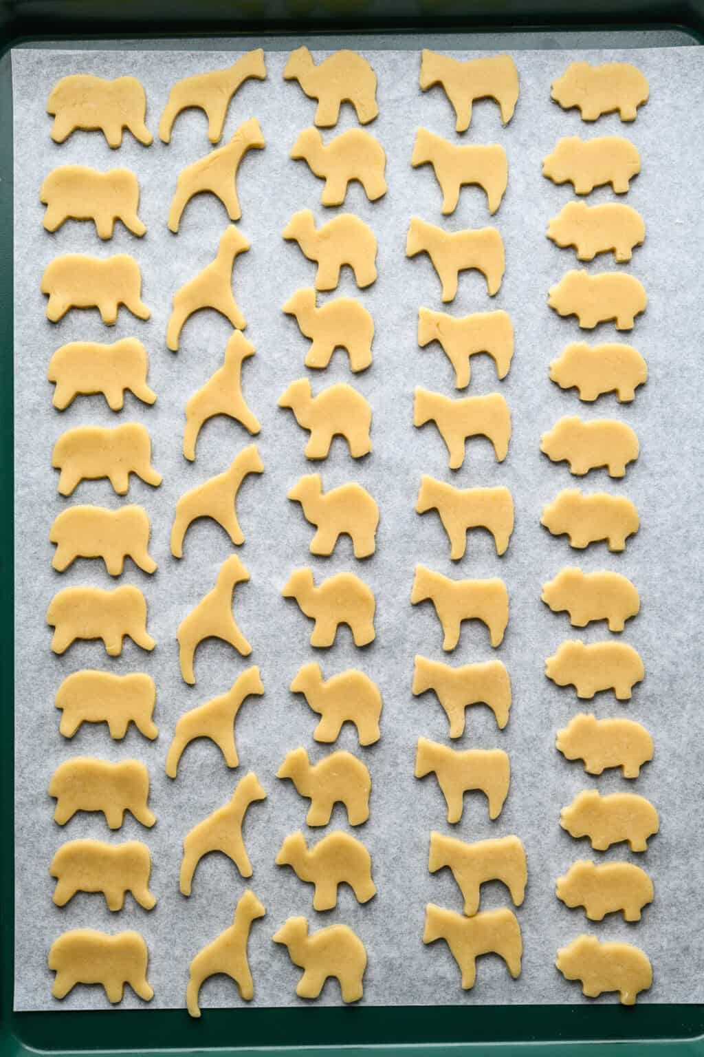 Homemade Mini Animal Cookies - Crowded Kitchen